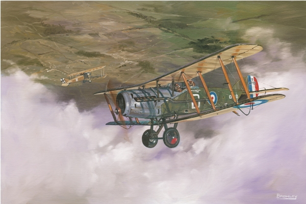 Biplane picture gallery 2 by Mark Bromley | Military History Matters