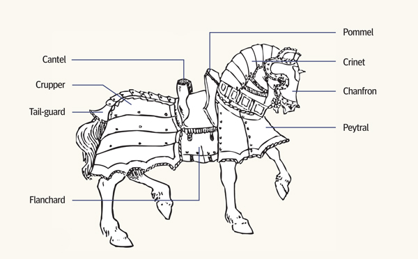 Medieval Knight Diagram