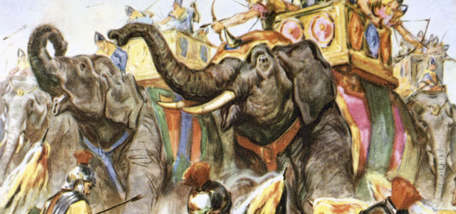 War Culture - Animals of war | Military History Matters